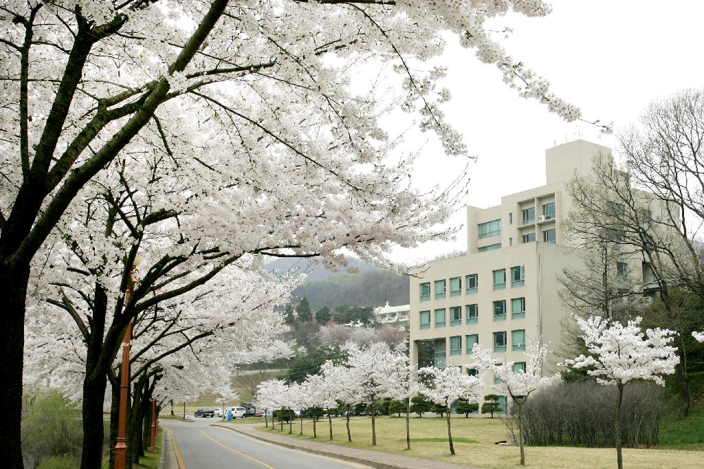 University Information | Search | Study in Korea | Run by Korean Government