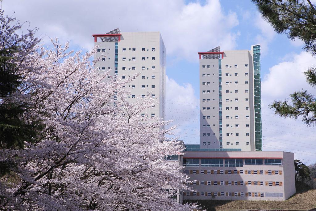 University Information | Search | Study in Korea | Run by Korean Government