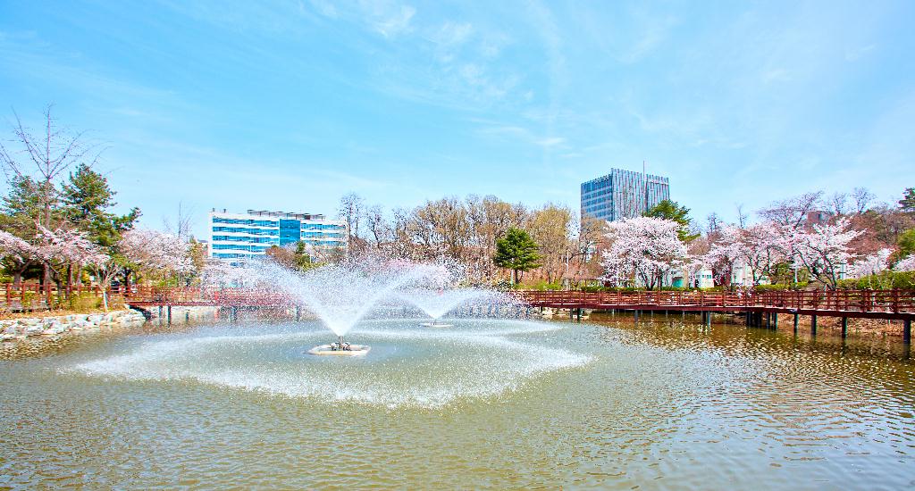 Search | Study in Korea | Run by Korean Government