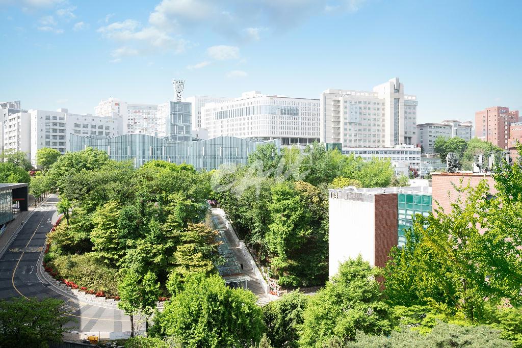 Search | Study in Korea | Run by Korean Government